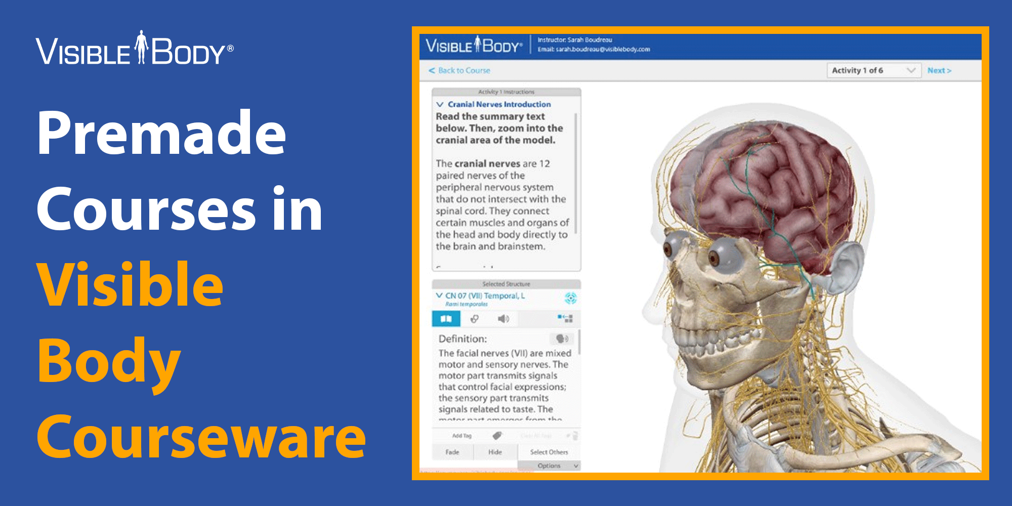 Increase Student Engagement Online with Premade Courses in Visible Body Courseware